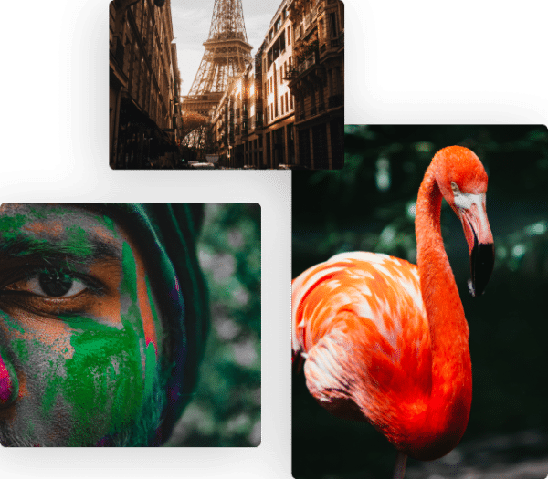 Home - Simply Color Lab